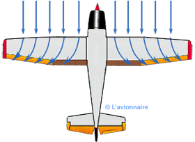 Comportement d'une aile
